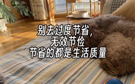 节省的都是生活质量 吉祥蜗牛 吉祥蜗牛 哔哩哔哩视频