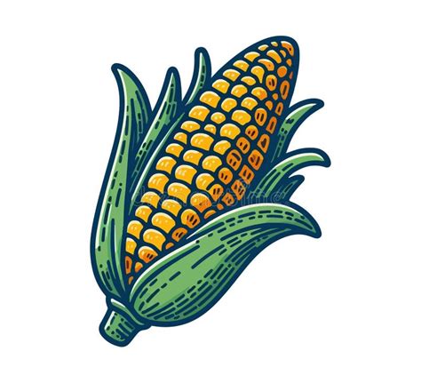 Corn Hand Drawn Vector Graphic Asset Vector Stock Vector Illustration
