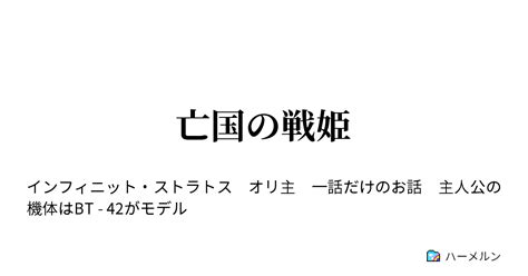 亡国の戦姫 ハーメルン