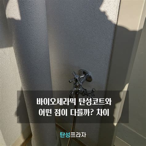 바이오세라믹 탄성코트와 어떤 점이 다를까 차이 네이버 블로그