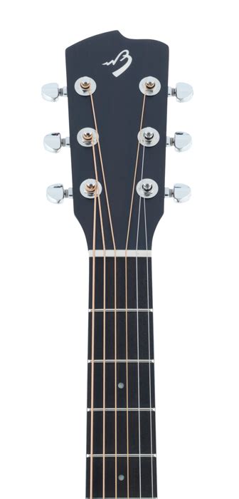 Breedlove Passport Ommme Acoustic Guitar Atlas Music