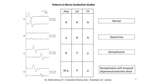 Interpretation Of Nerve Conduction Study Findings Pdf