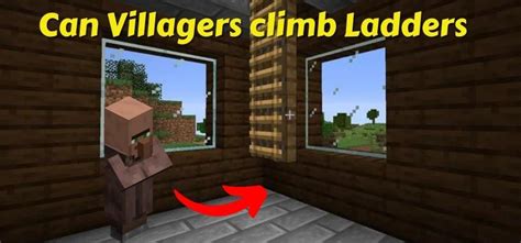 Can Villagers Climb Ladders Asking List