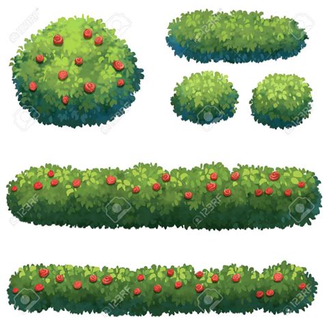 Куст рисунок 62 фото