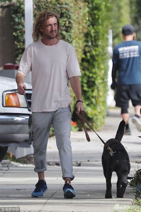 汤姆·费尔顿居家装出街遛狗 头发凌乱如鸟窝发际线堪忧 新浪图片