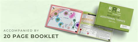 Buy Ncert Based Neet Ug Biology Flashcards For Class Th Book Online
