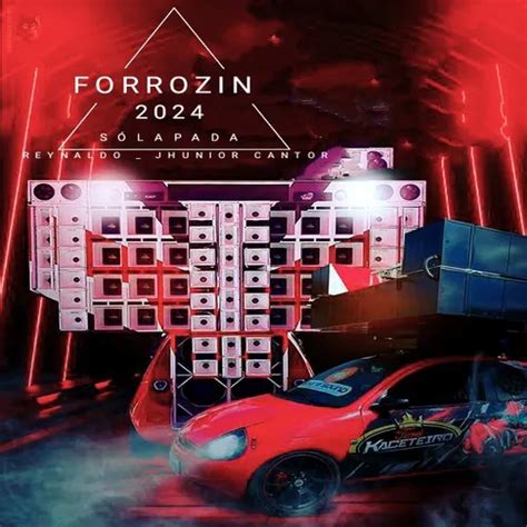 CD REYNALDO JHUNIOR DEZEMBRO FORROZIN SÓ LAPADA RJ CDs LOUD CDs UM POUCO DO NORDESTE