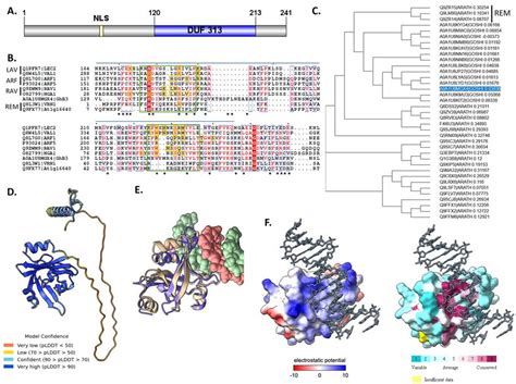 Sequence And Structure Characterization Of Ghb3 A0a1u8mgx4 A Domain Download Scientific