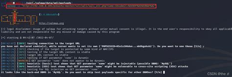 web安全工具—sqlmap常用命令和参数（持续更新） sqlmap常用指令和参数 csdn博客