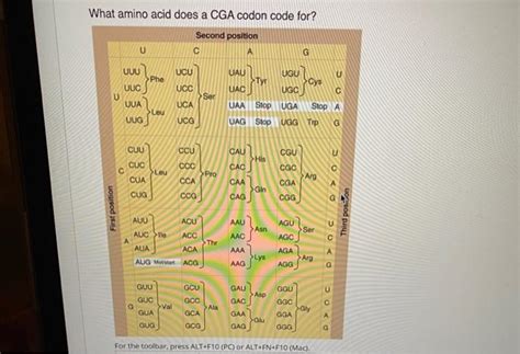 Solved What Amino Acid Does A Cga Codon Code For For The