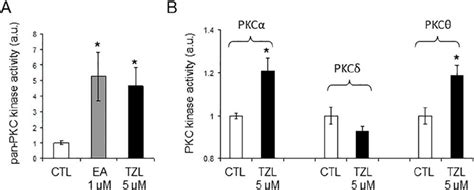 Tonantzitlolone Is A Pkc Activator A Pan Pkc Kinase Activity Was