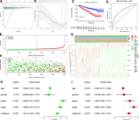 Construction And Validation Of Prognostic Risk Score For Kirc Patients