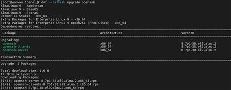 AlmaLinux修复CVE 2024 6387 OpenSSH Server 远程代码执行漏洞 大部分RHEL系通用
