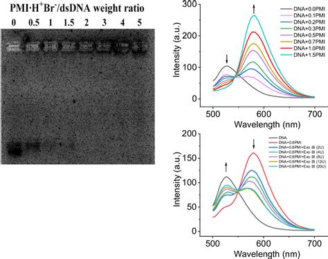 Figure 6 From Multiple C H ⋯ Anion And N H ⋯ Anion Hydrogen Bond Directed Two Dimensional