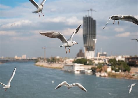 انخفاض درجات الحرارة في العراق بدءاً من الاثنين المقبل وكالة بغداد