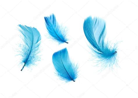 Feathers Stock Illustration By ©depositdk 22722989