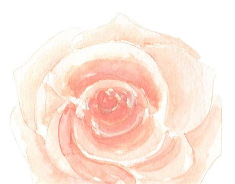 彩色小清新水彩花卉插画 包站长