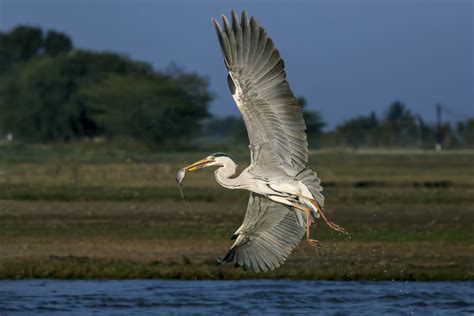 Prashant Godbole