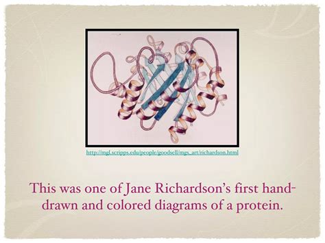 Ribbon Diagrams Ppt