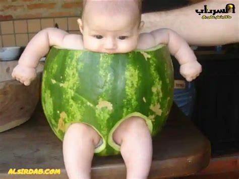صور مضحكة السرداب