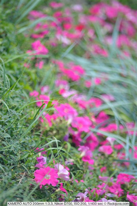 Review KAMERO AUTO 200mm 1: 3.3 | Happy