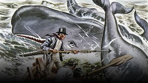 Was There A Real Moby Dick History