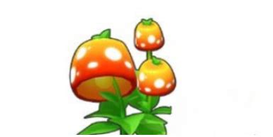 摩尔庄园手游弹簧草怎么获得 弹簧草获取方法 3DM手游