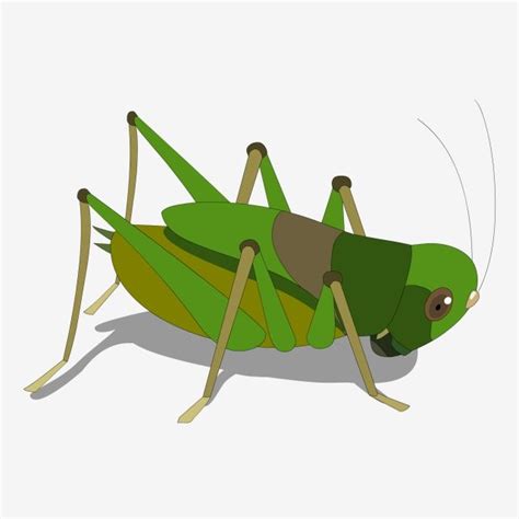 만화 메뚜기 메뚜기 해충 메뚜기 클립 아트 방목 마권업자를 먹다 Png 일러스트 및 벡터 에 대한 무료 다운로드