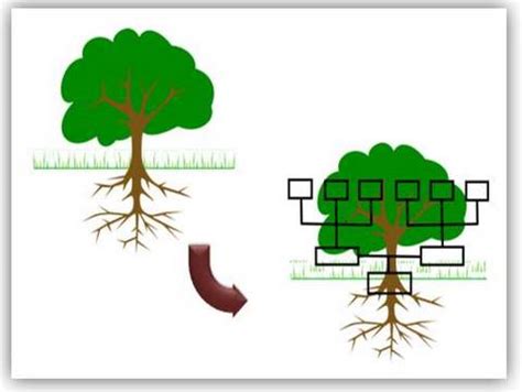 5 Creative PowerPoint Tree Diagrams