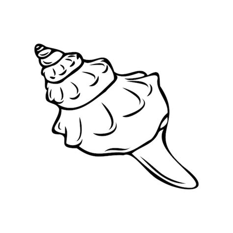 Premium Vector Vector Isolated Illustration Of A Shell Contour Sketch Of A Shell In The Doodle