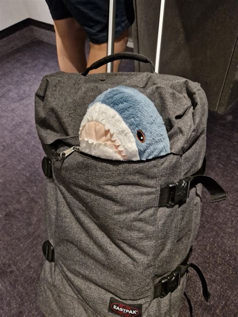 Is This Shark Appropriate R Blahaj