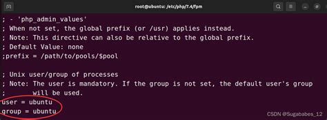 过滤字符和绕过案例invalid Option Prefix Csdn博客