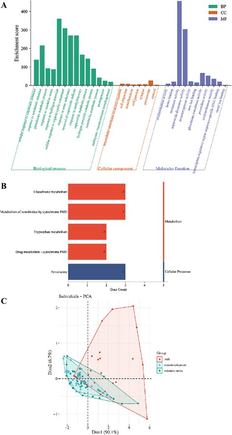 Bioinformatics And Pca Analysis Results A Go Analysis Results B Kegg