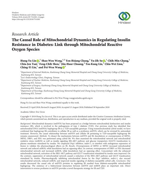 PDF The Causal Role Of Mitochondrial Dynamics In Regulating Insulin Resistance In Diabetes