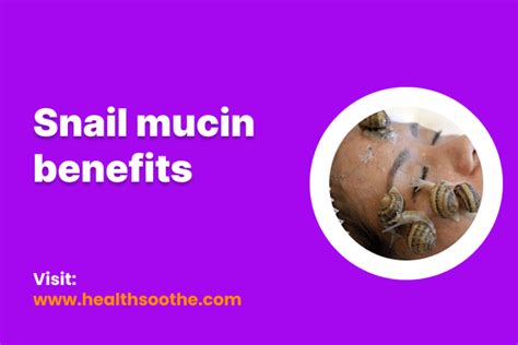 Snail Mucin Benefits Things You Should Know