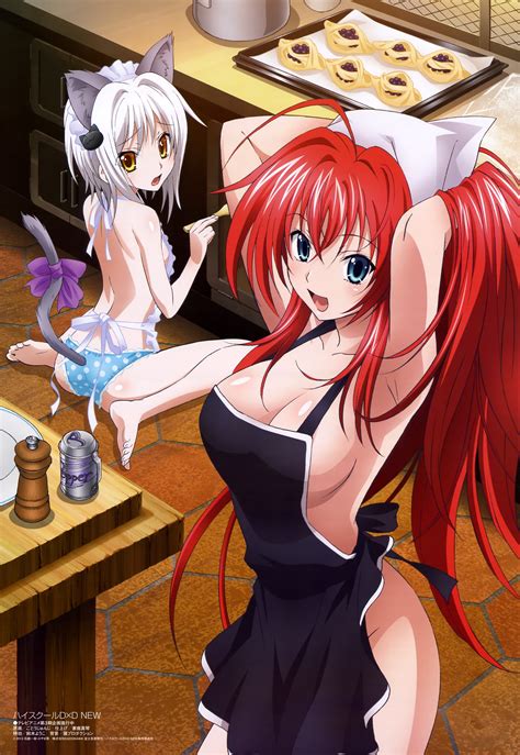 Rias Gremory And Toujou Koneko High School Dxd And 2 More Drawn By