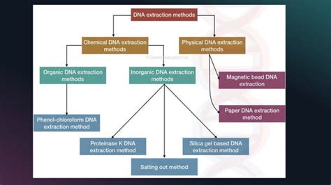 Different Methods Of Dna Isolation Pptx Chemistry Science
