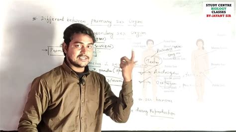 Primary And Secondary Sex Organ Ii Sex Organ Ii Sex Organ Primary And