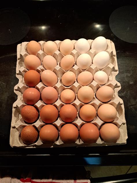My Egg Gradient Roddlysatisfying