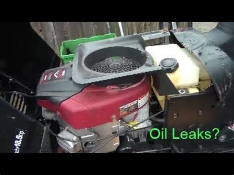 Briggs And Stratton Oil Leak Problem - Outside Gear