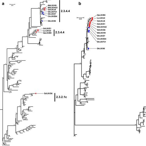 Phylogenetic Analysis Of Internal Genes Of Jiangxi H5n6 Viruses