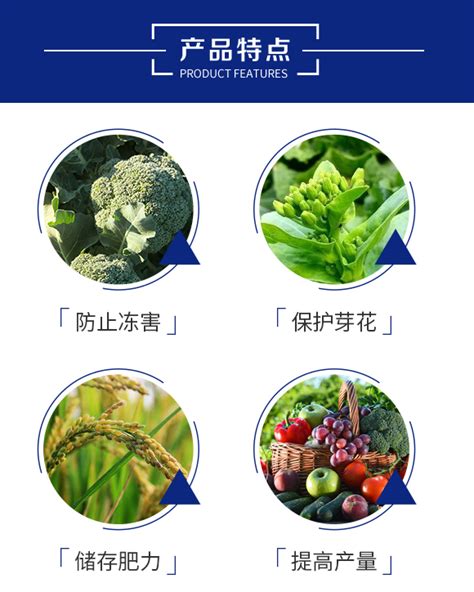 微量元素水溶肥料 寒伏不怕冻 昕爵集团郑州昕爵生物技术有限公司 火爆农化招商网【1988tv】