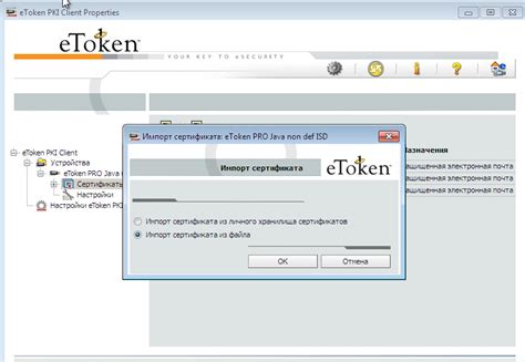 Etoken Pki Client для Windows 10