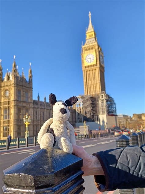 D Buggles Bradleys Basement