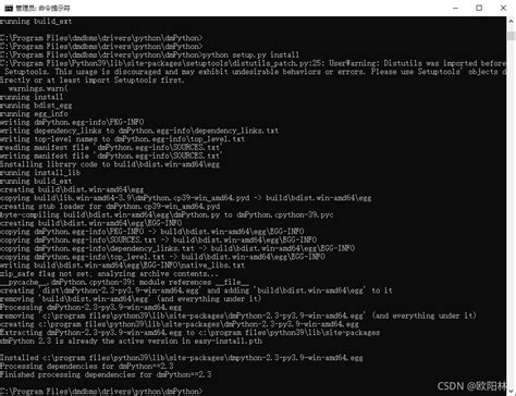 Python安装达梦数据环境（基于windows10python39）dmpython下载 Csdn博客