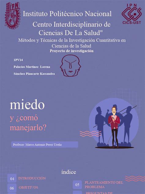 Proyecto De Investigacion Pdf
