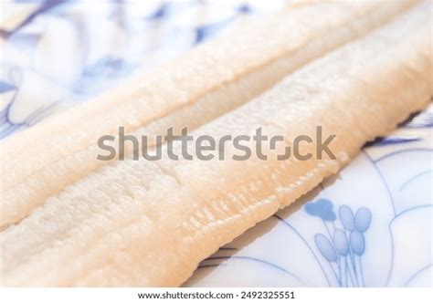 Japanese Conger Eel Photos And Images