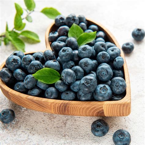 Blueberry Fragrance Oil Perfect For Diy Projects Hiqili Official Store