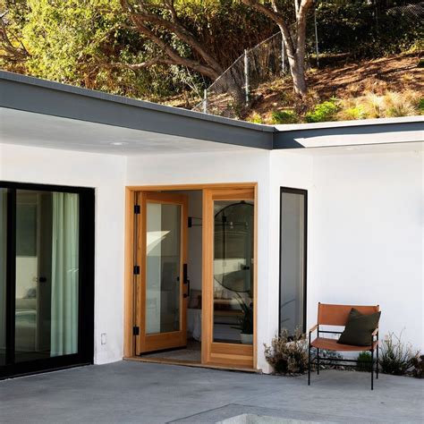 던에드워드 코리아 나무와사람들