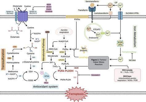 Fentonhaber Weiss Reaction Created With Download